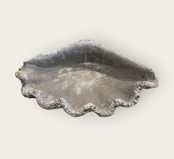 Decorative Shell Dish - Recreated Designs